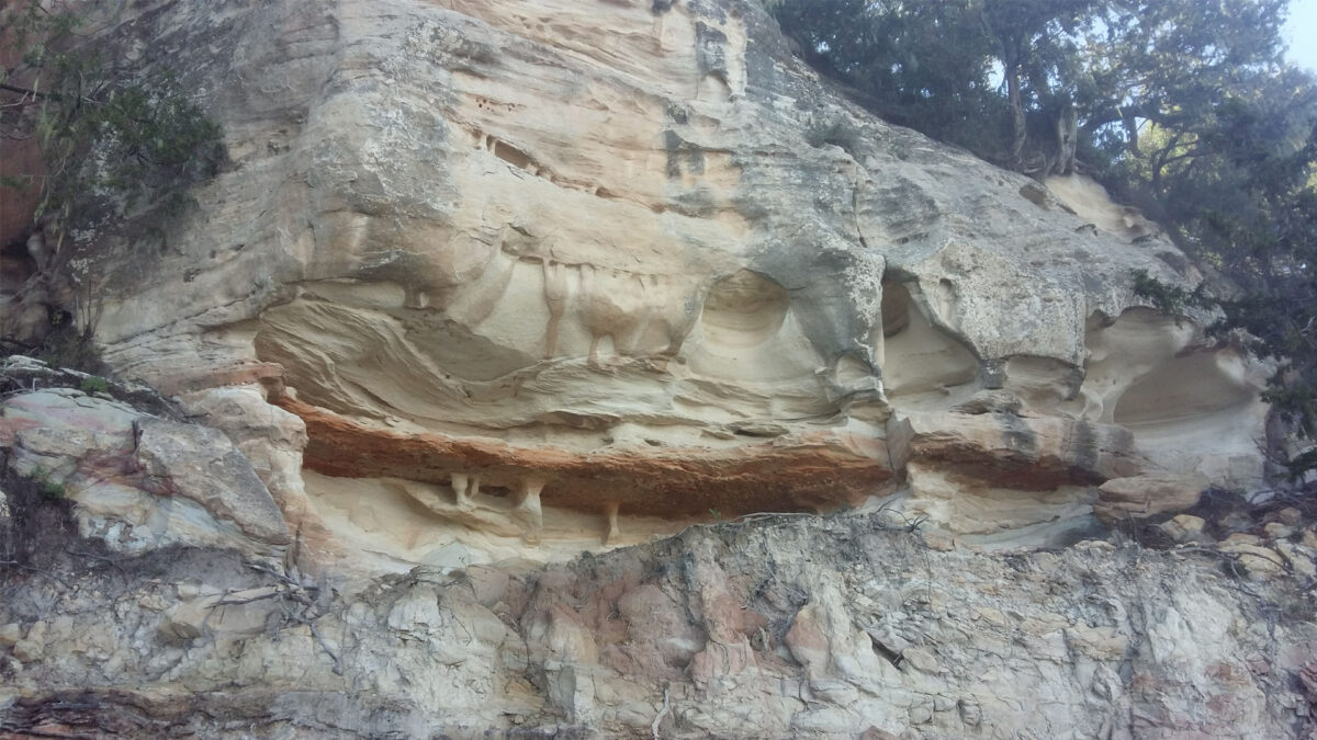 Desa’a Forest | Hadgi