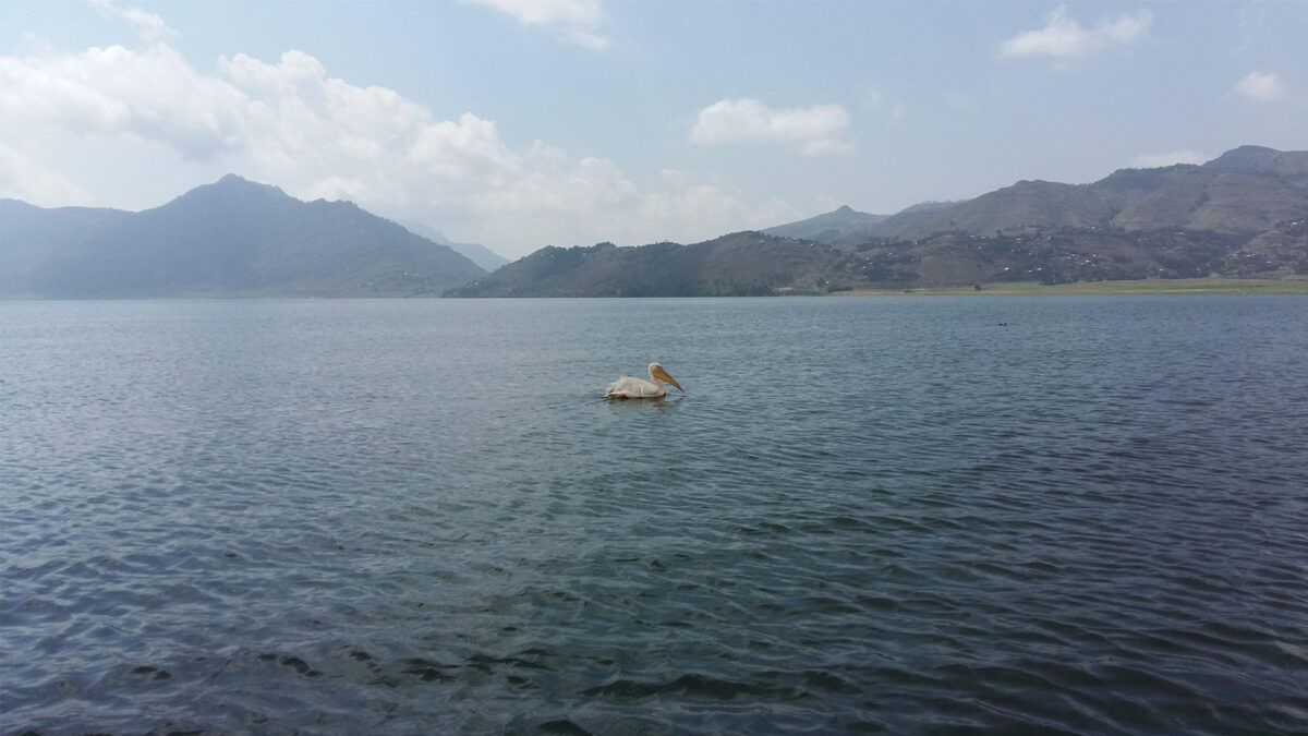Lake Hashenge - Hadgi
