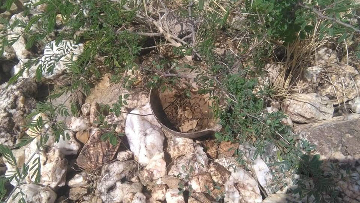 Kunama Ethnographic Museum - Hadgi