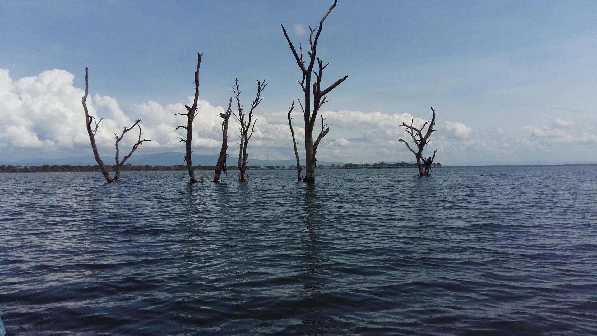 Naivasha-lake-5 | Hadgi