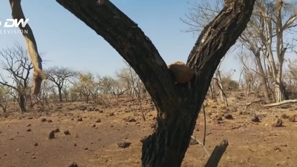Waldba Monastery | Hadgi
