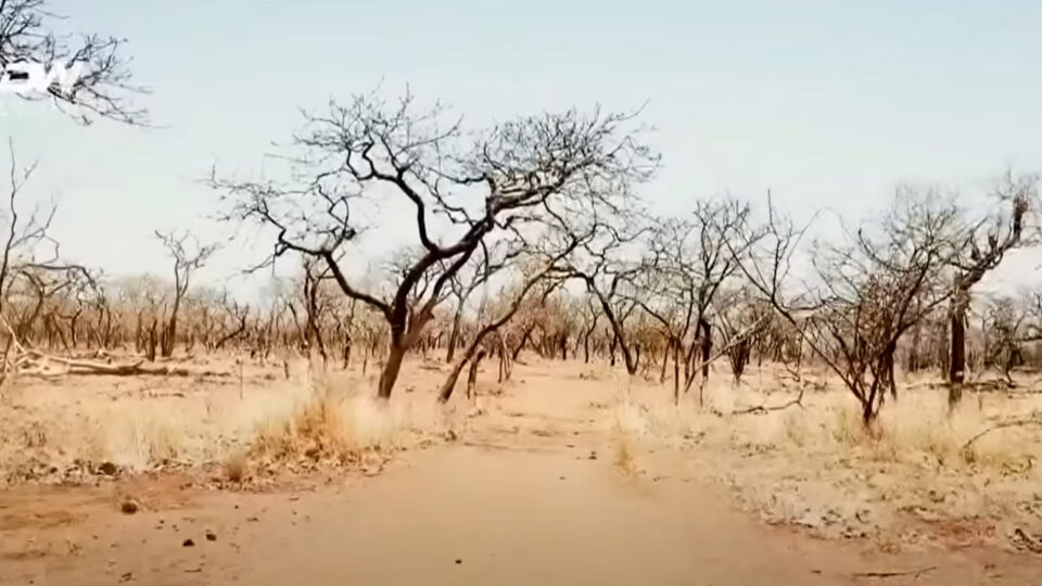Waldba Monastery - Hadgi